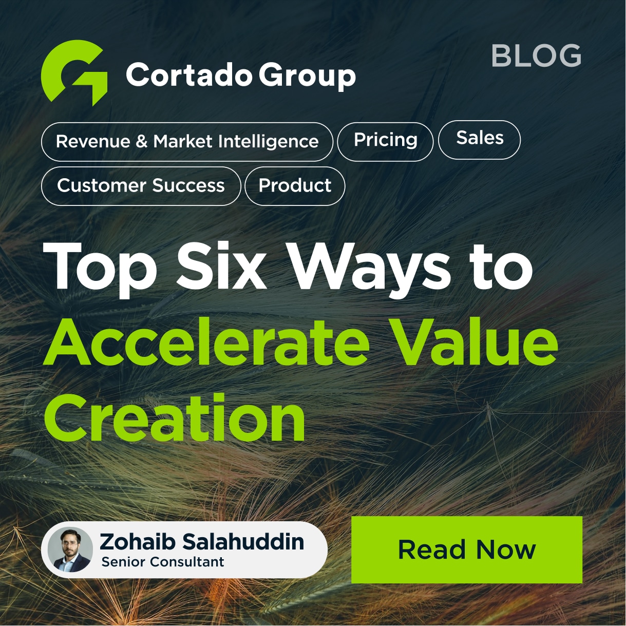 Top Six Ways to Accelerate Value Creation - Cortado Group