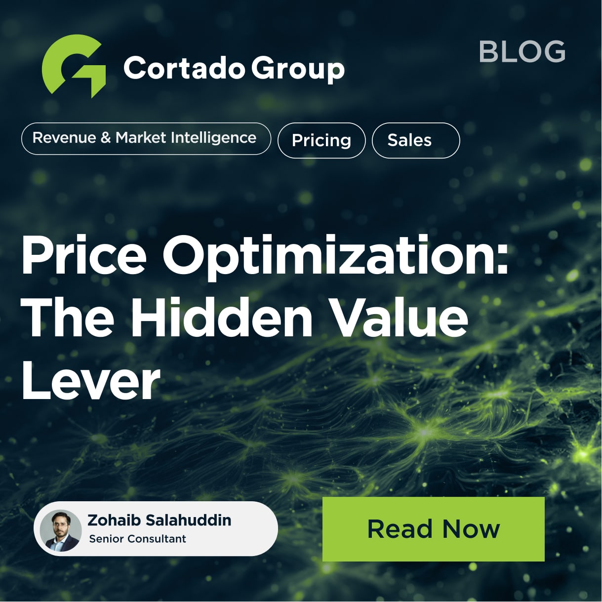 Price Optimization: The Hidden Value Lever - Cortado Group